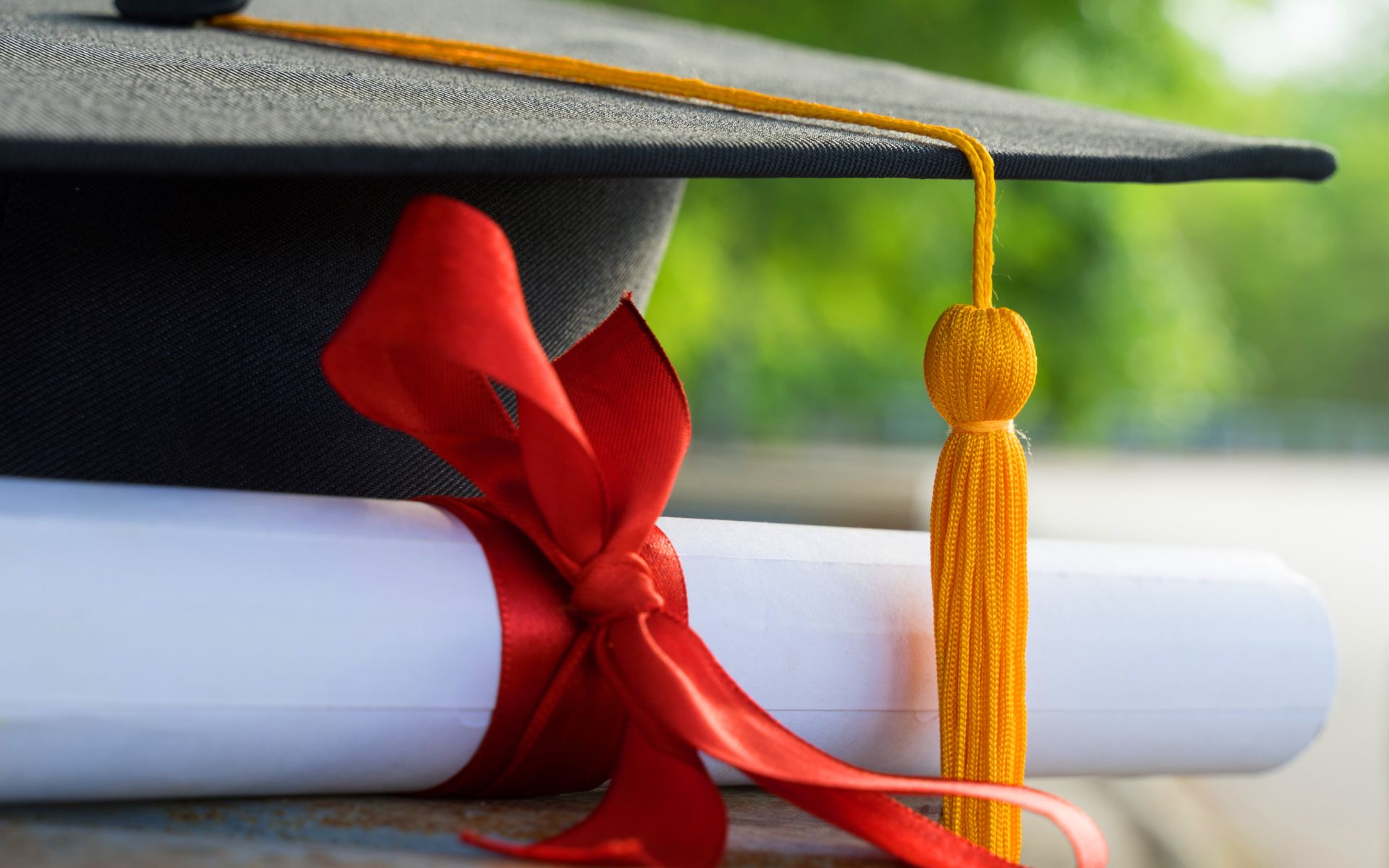 What Can You Do with a Sports Science Degree? » ISST® Pune